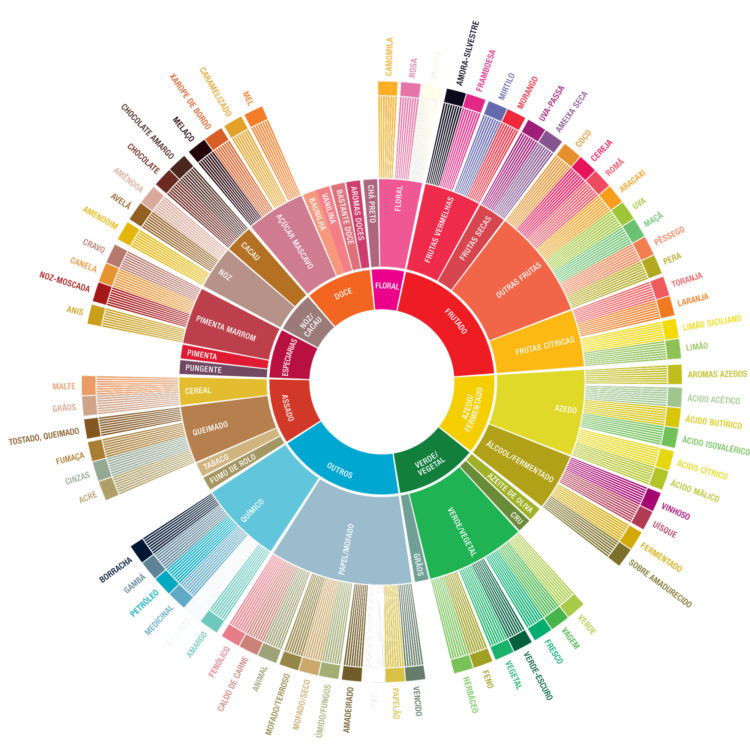 Roda de Sabores do Café e o Mapa de Sabores da Língua – Planet's Cafe